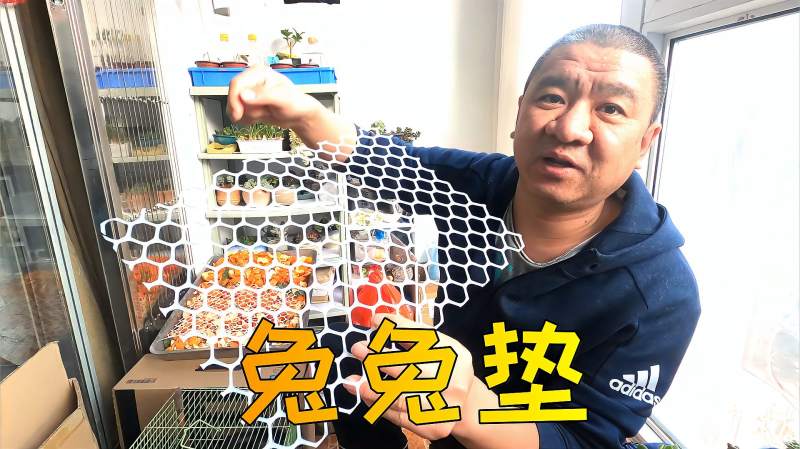 城市家庭阳台宠物兔笼子里放个这样的脚垫，兔兔不容易生脚病,三农,农村赶海,好看视频