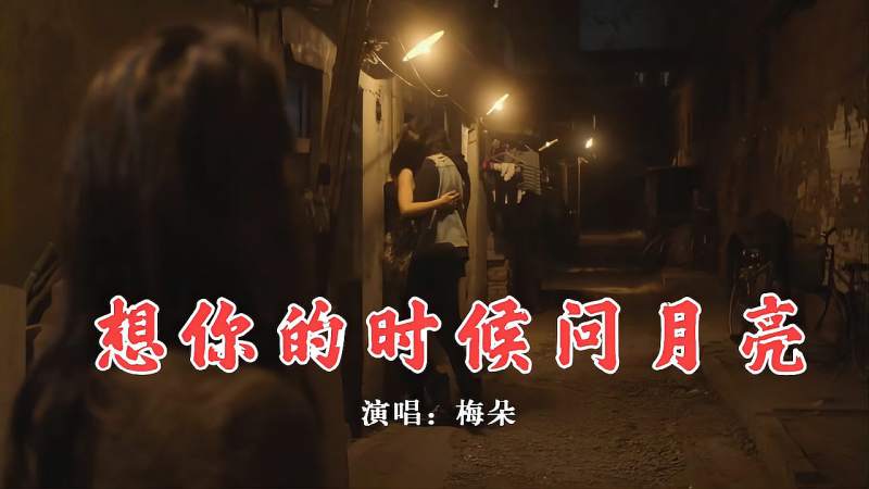 梅朵这首《想你的时候问月亮》相思的情歌，深情入心，谁听都喜欢音乐流行音乐好看视频