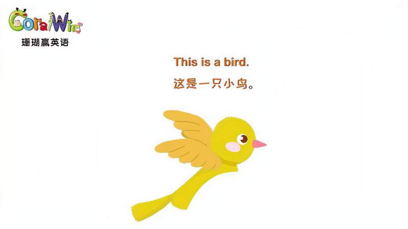 巧记剑桥英语KET单词-bird,教育,在线教育,好看视频