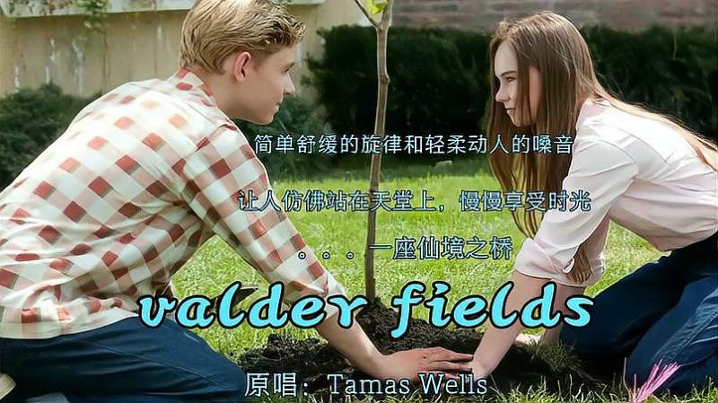 《Valder Fields》多少人心中的英文歌曲No. 1。这曲调，如痴如醉,音乐,流行音乐,好看视频