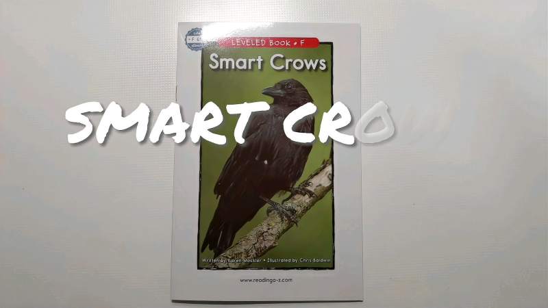 英语日常阅读打卡|《Smart Crows》,教育,在线教育,好看视频