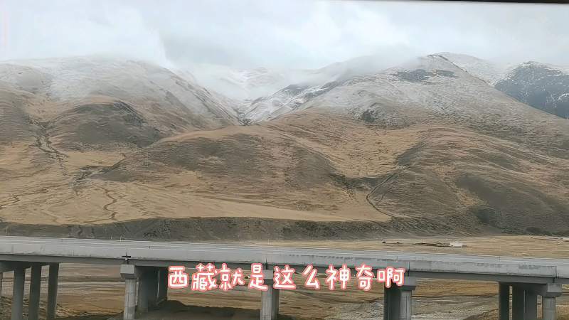 上海直达拉萨z164火车“通往天堂的路线”,旅游,旅途风光,好看视频