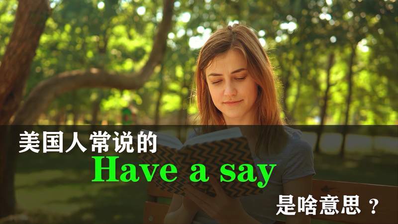 美国人常说的“have a say”是啥意思？可别翻译成"有一个说"！,科学,科普,好看视频