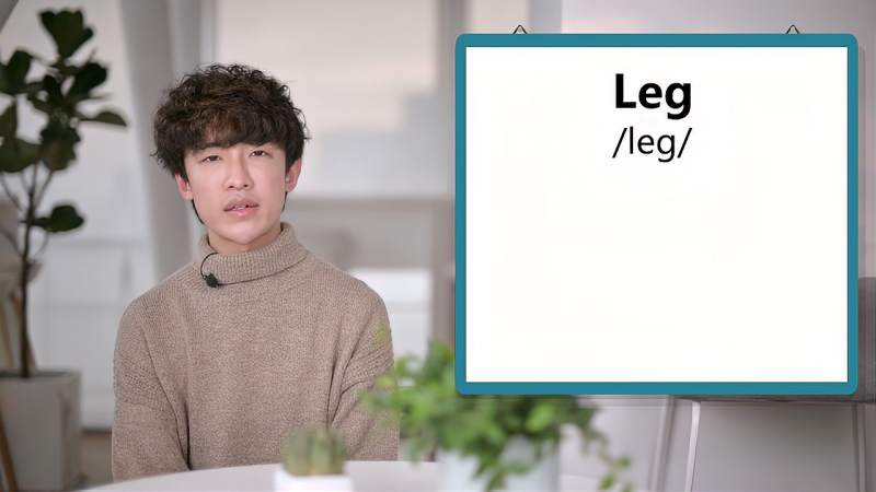 英文单词详解：Leg,教育,在线教育,好看视频