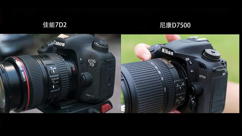 佳能7D2一台被低估的相机，与尼康D7500你选谁？,摄影,摄影器材,好看视频