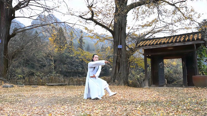 这套太极拳，包含的发劲运转，动作柔软，舒展大方，武当凌云体育武术好看视频