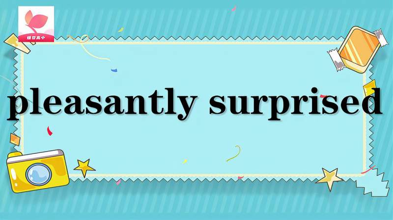 pleasantly surprised的意思和用法,教育,兴趣学习,好看视频