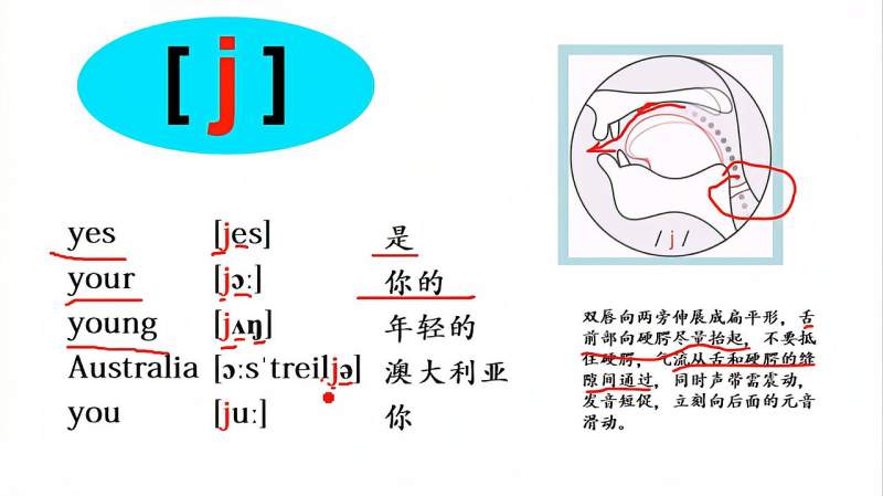 英语口语音标/j/的发音方法，天天老师图文详细讲解，终于明白了,教育,在线教育,好看视频
