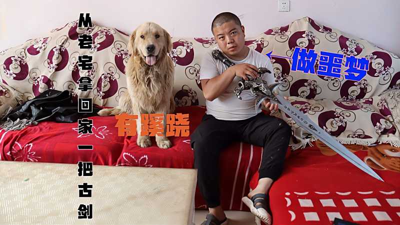 自从把老宅的古剑拿回家后,小伙整晚的做噩梦,金毛说这事有蹊跷搞笑萌宠好看视频