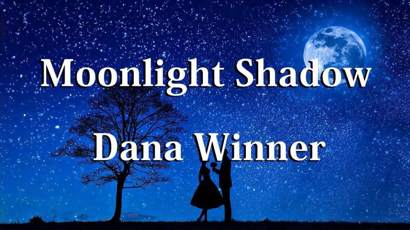 Dana Winner - Moonlight Shadow - 「超高无损音质」动态歌词,音乐,流行音乐,好看视频