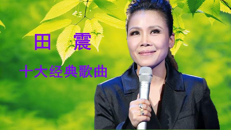 田震十大经典歌曲音乐流行音乐好看视频