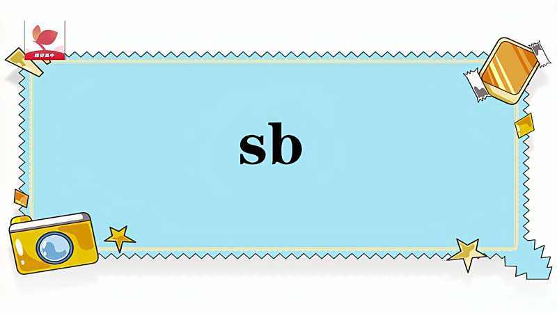 sb的意思以及用法,教育,在线教育,好看视频