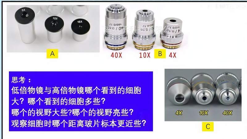 3分钟学习初中生物会考知识点-显微镜的目镜和物镜,科学,科普,好看视频