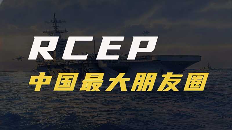「梨核」RCEP是什么？它如何影响我们？,国际,国际社会,好看视频