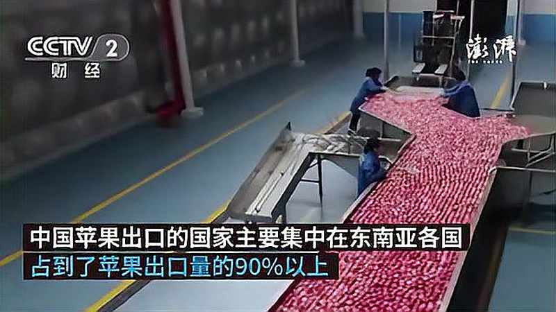 苹果滞销价格下跌：出口销售遇阻，去年收储量和收购价处高位财经公司经管好看视频 