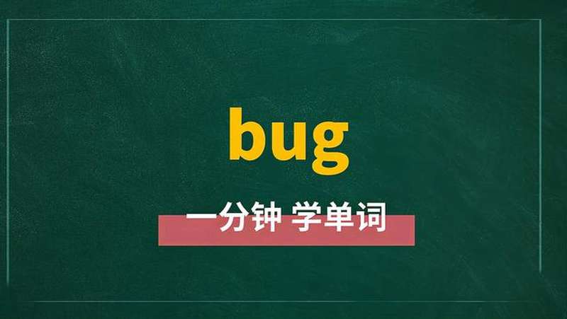 一分钟学英语bug单词详解,教育,在线教育,好看视频