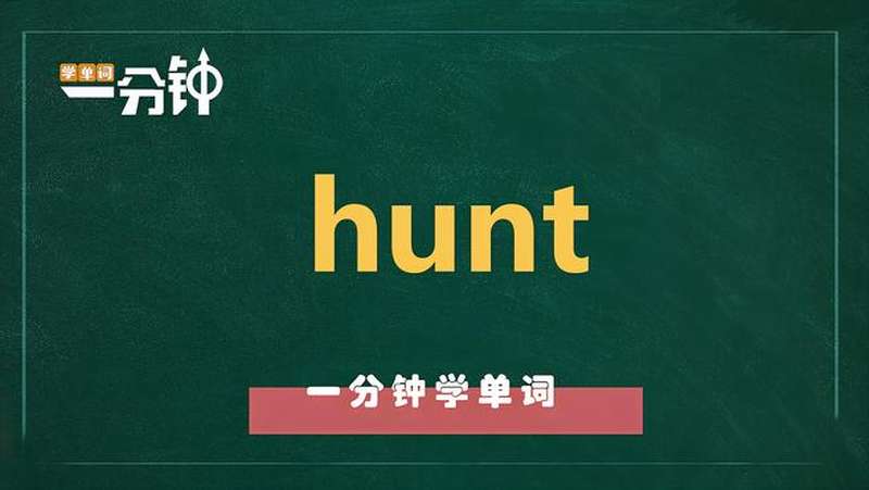 一分钟学英语hunt单词详解,教育,在线教育,好看视频