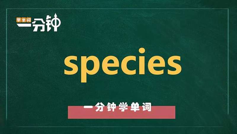 一分钟学英语species单词详解,教育,在线教育,好看视频