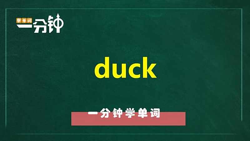 一分钟学英语duck单词详解,教育,在线教育,好看视频