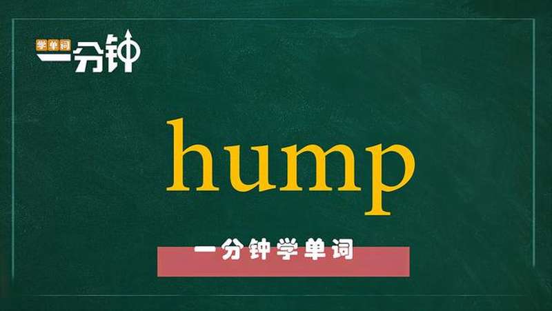 一分钟学英语hump单词详解,教育,在线教育,好看视频