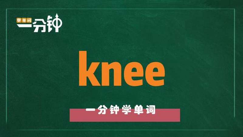一分钟学英语knee单词详解,教育,在线教育,好看视频