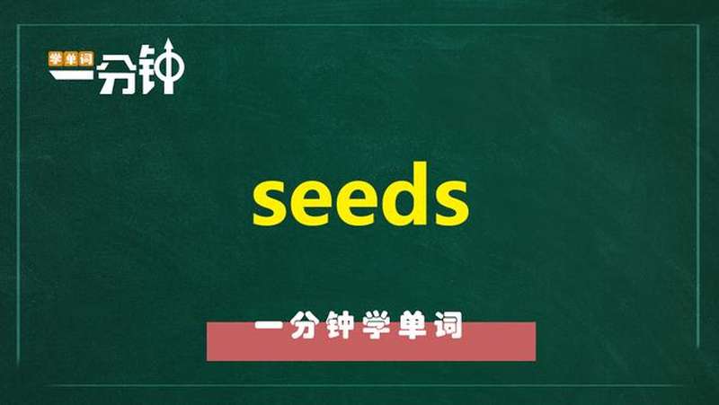 一分钟学英语seeds单词详解,教育,在线教育,好看视频
