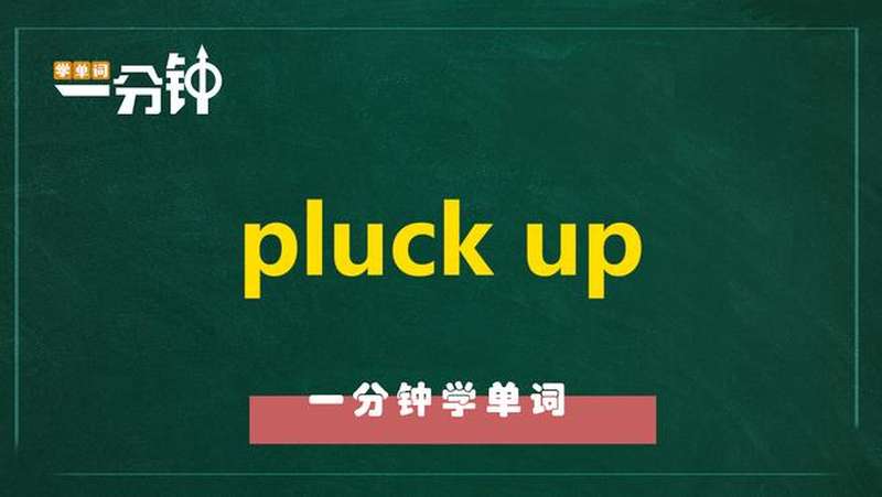 一分钟学英语pluck up单词详解,教育,在线教育,好看视频